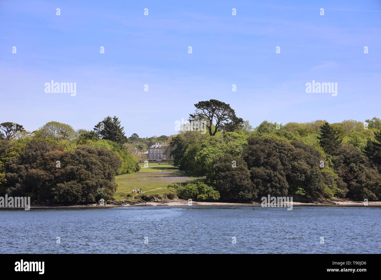 River Lynher High Resolution Stock Photography and Images - Alamy