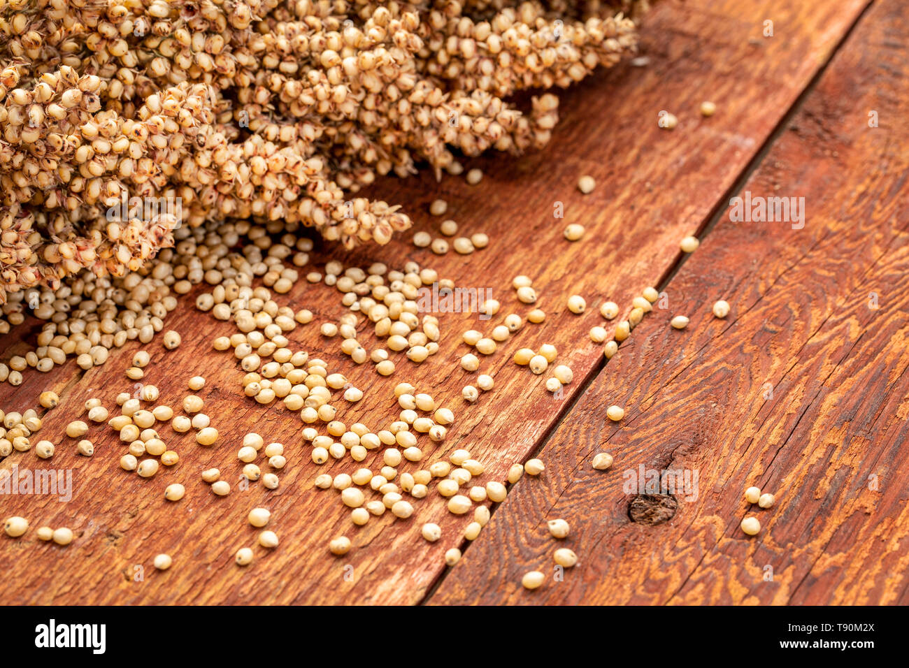 Sorghum seeds hi-res stock photography and images - Alamy