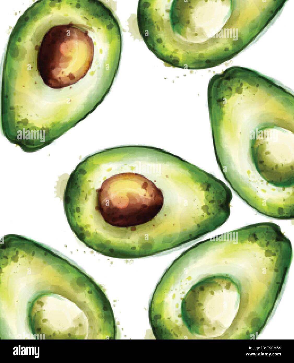 Avocado pattern watercolor Vector. Green juicy texture background Stock ...