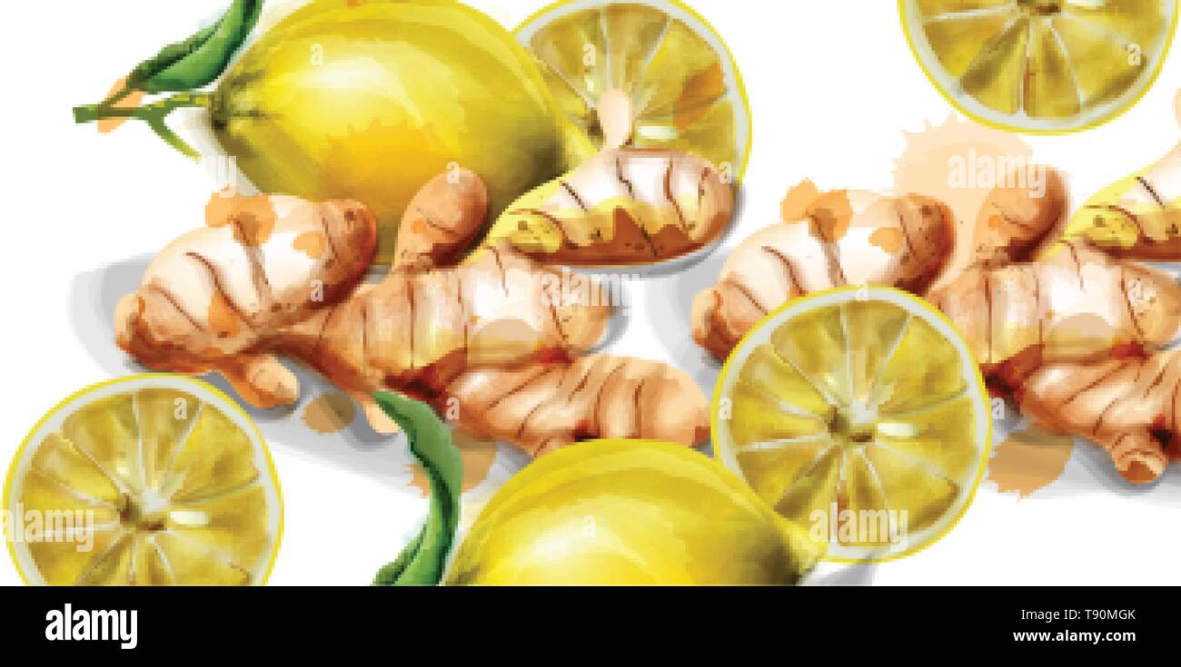 Lemon and ginger watercolor Vector background. fresh organic products ...