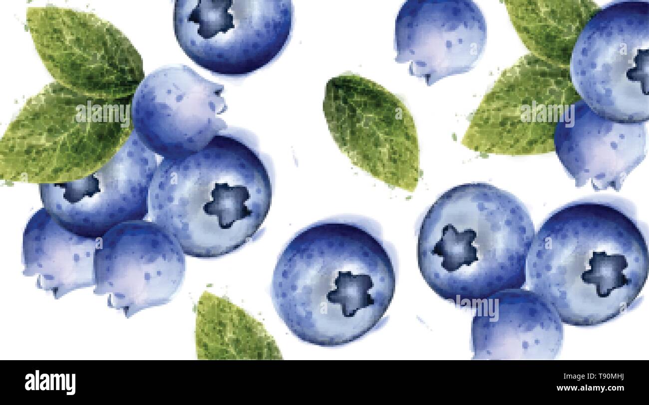Blueberries background Vector watercolor. Summer delicious fruits card ...