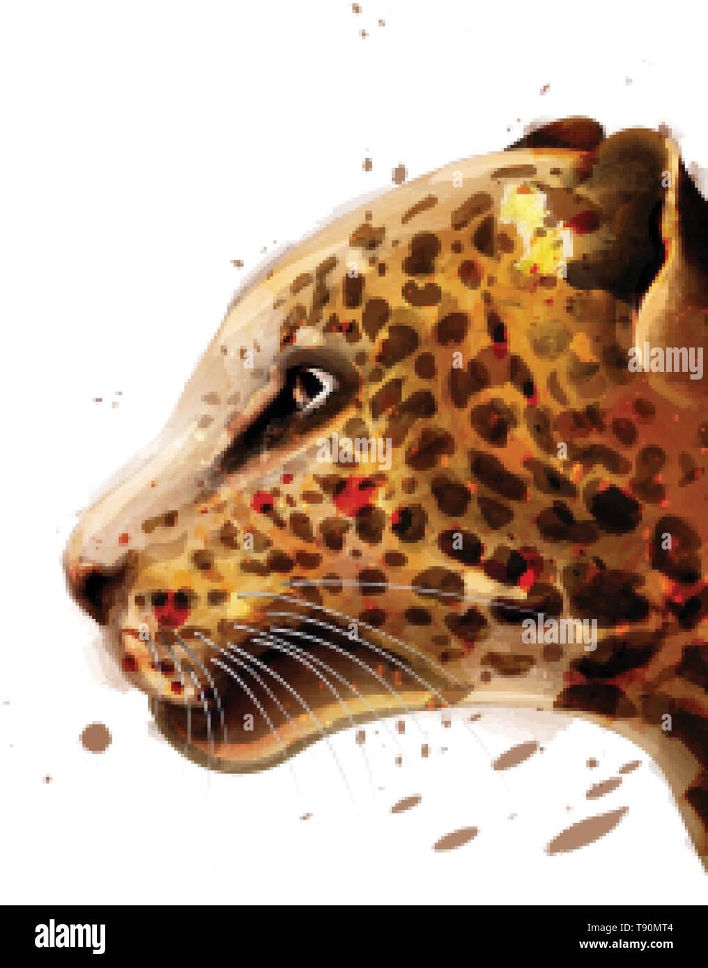 Leopard Vector watercolor. colorful detailed illustration wildlife ...