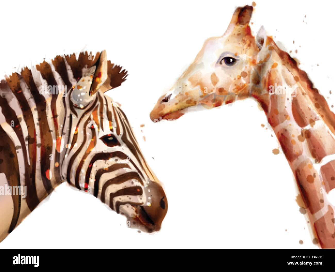 zebra and giraffe Vector watercolor. wildlife safari animal Stock ...