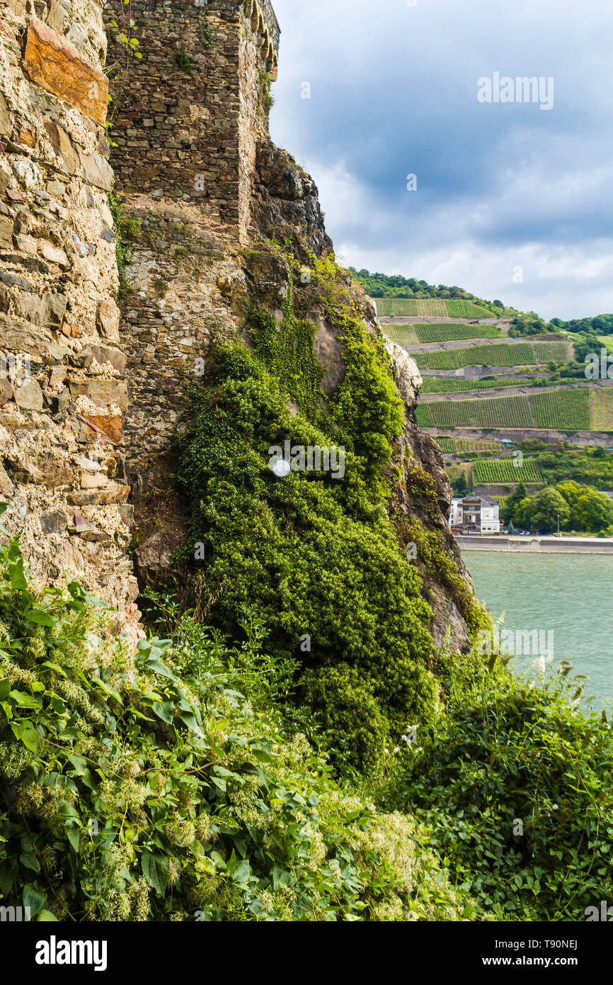 Rhine, Burg Rheinstein Stock Photo - Alamy