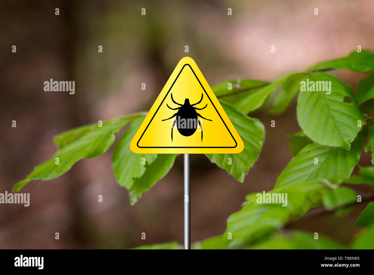 Tick insect warning sign in nature forest. Lyme disease and tick-borne ...