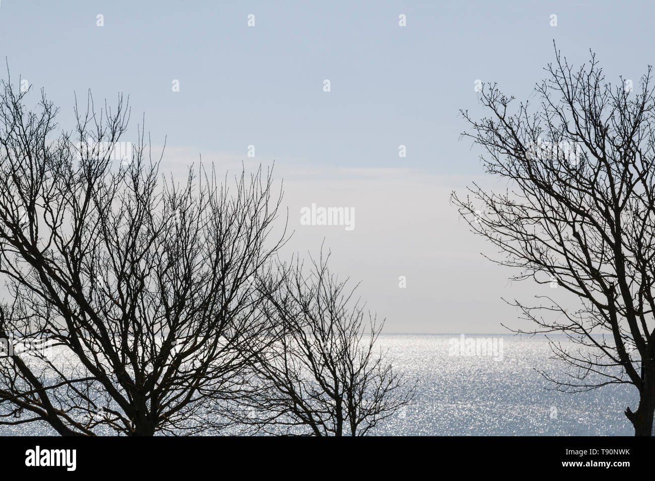 Hastings sea life hi-res stock photography and images - Alamy