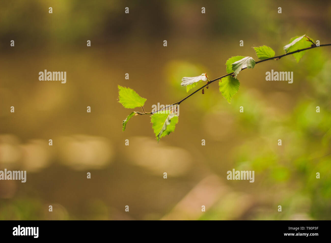 Abstract pic hi-res stock photography and images - Alamy