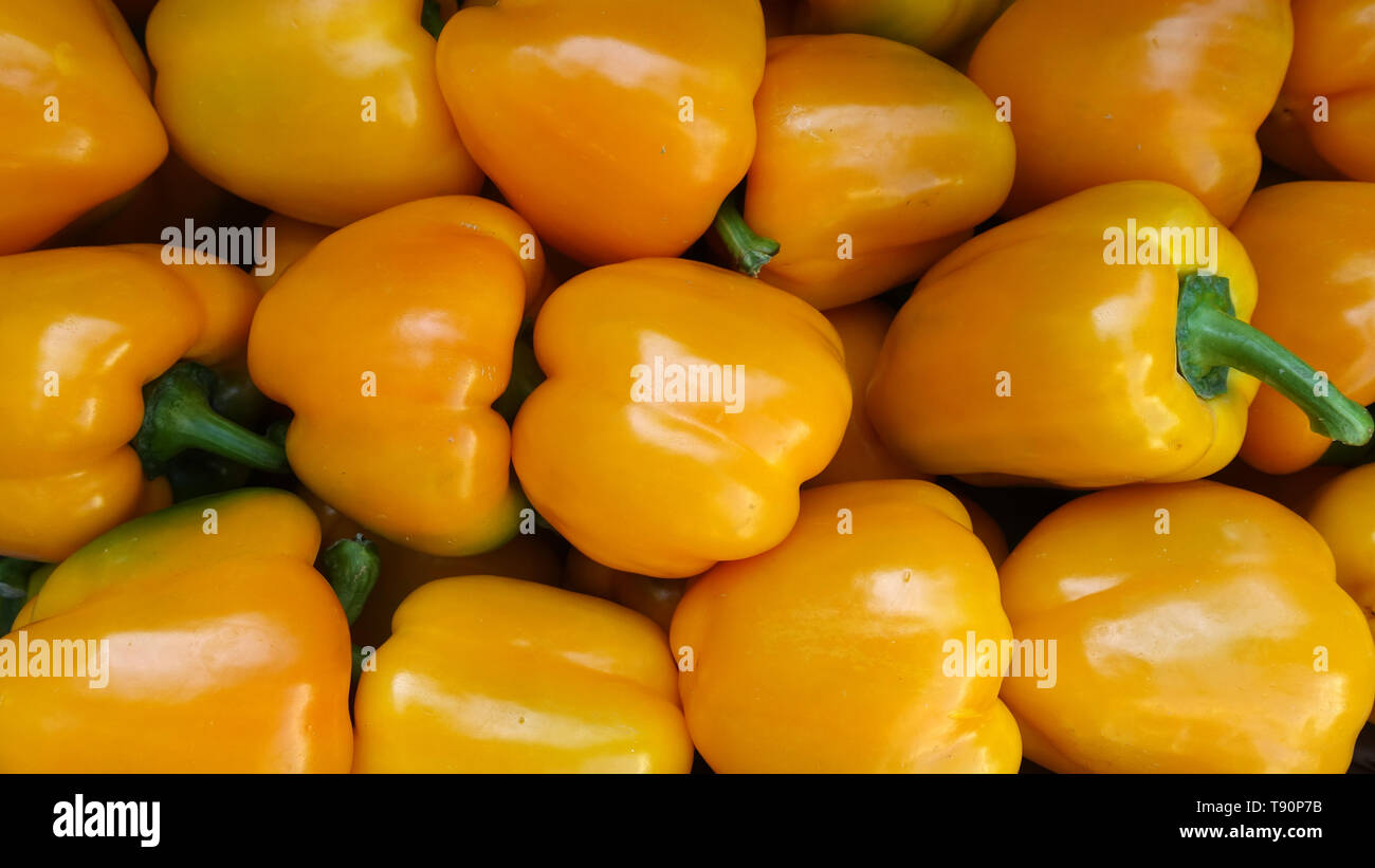 Yellow peppers on display in Israel Stock Photo - Alamy
