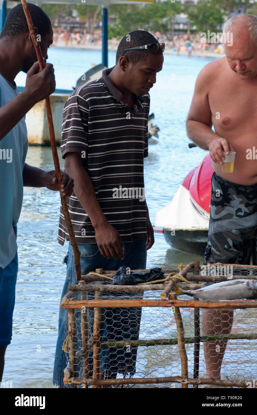 Jamaican fisherman selling live lobster and fish to tourists at the ...