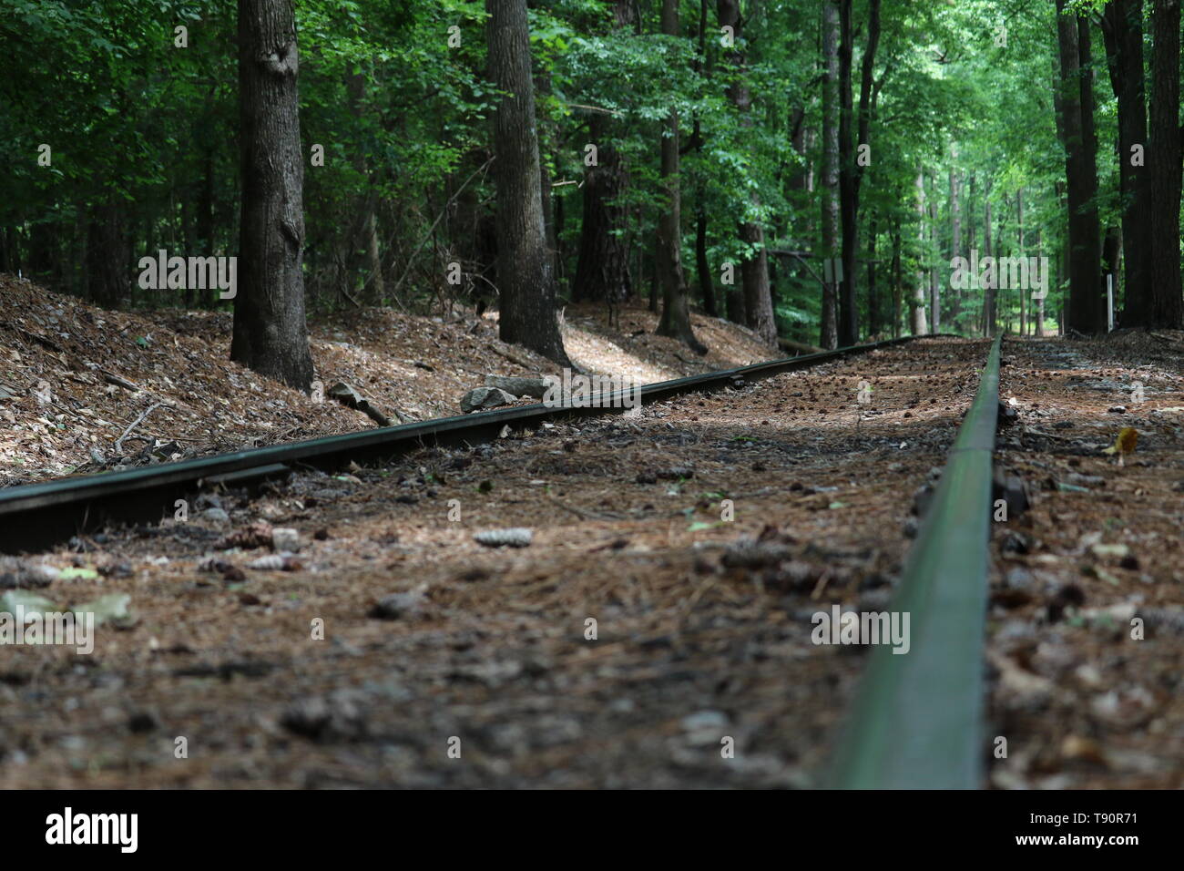 railroad tracks stone mountain Georgia park Stock Photo - Alamy