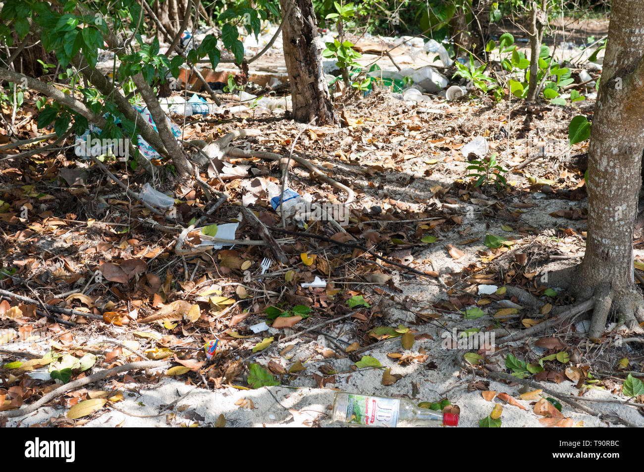 Plastic trash and other garbage just off the beach at Bloody Bay Stock ...