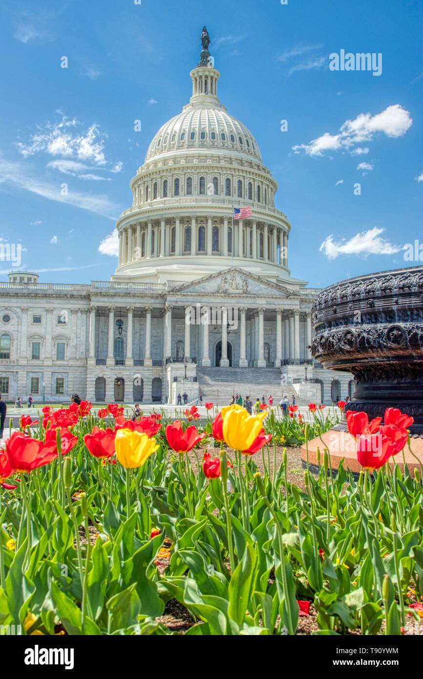 Washington dc spring scenery hi-res stock photography and images - Alamy