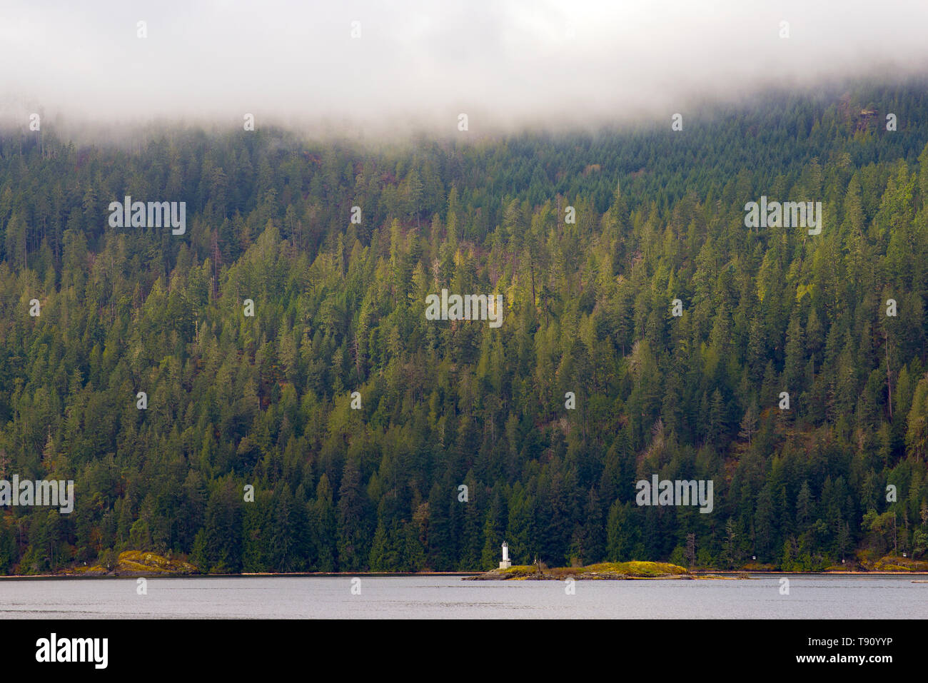 View of Port Alberni inlet and forest during a misty morning, taken in ...