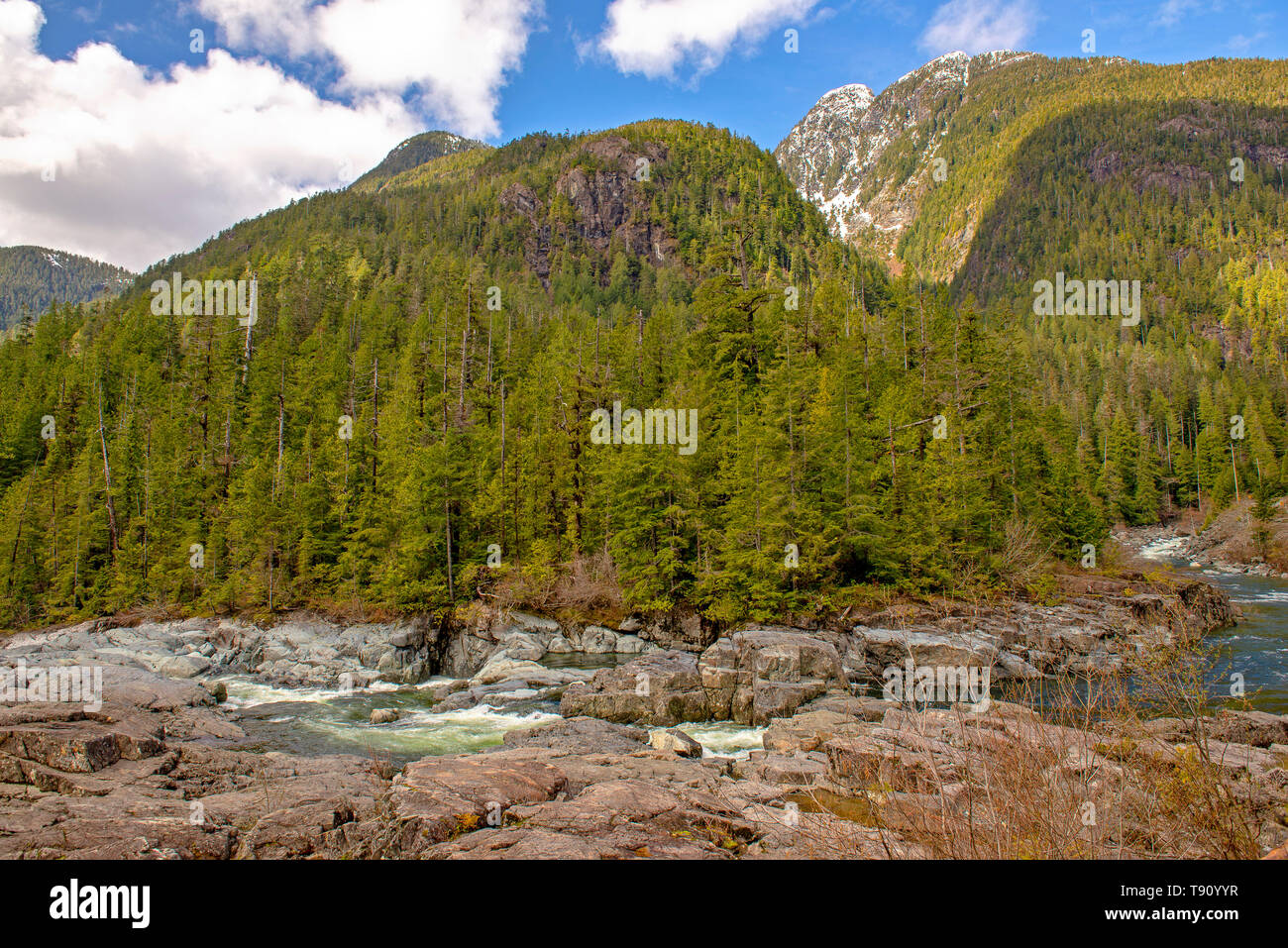 Vancouver island rapids hi-res stock photography and images - Alamy