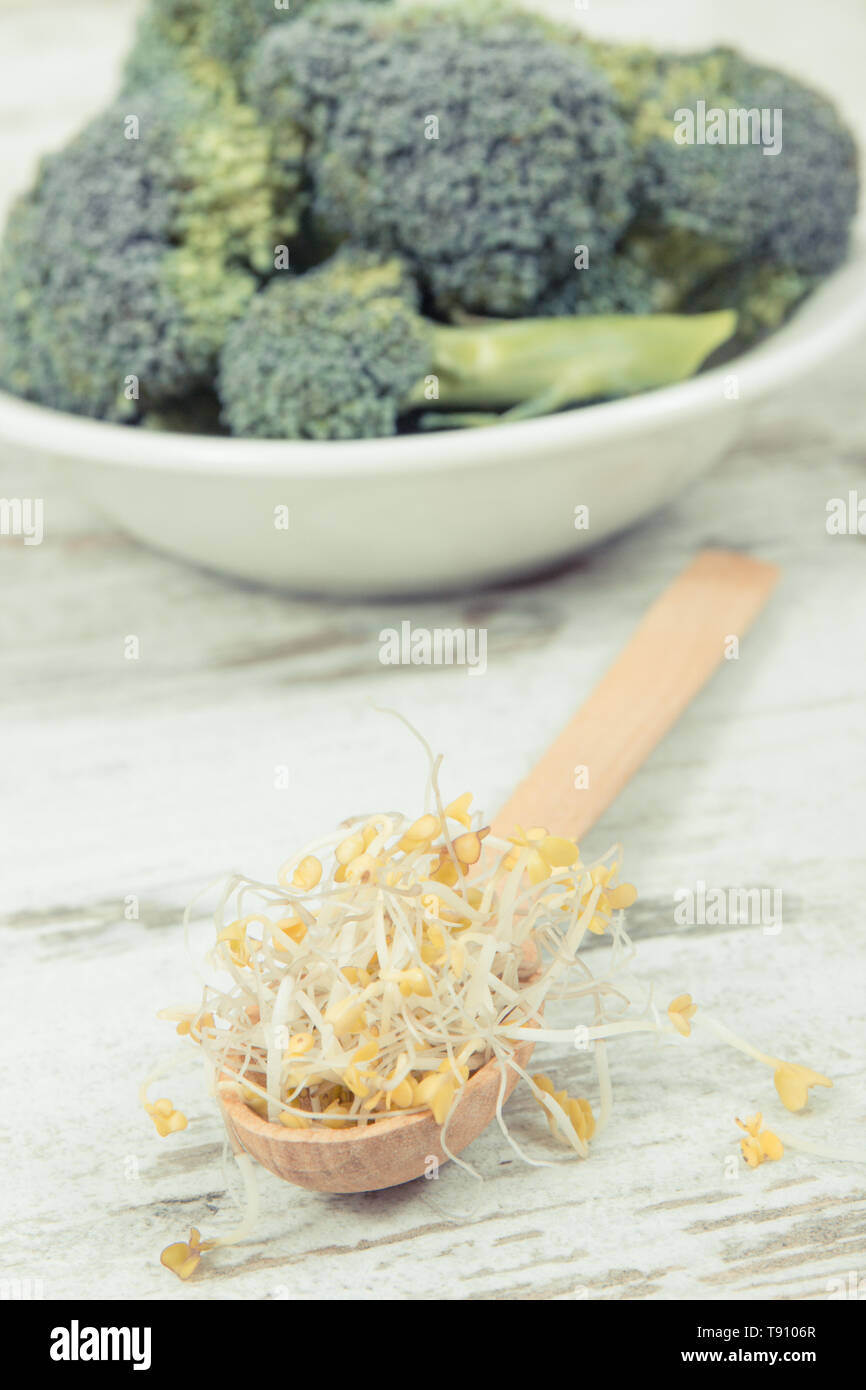 Nutritious broccoli sprouts and fresh vegetable as source natural ...