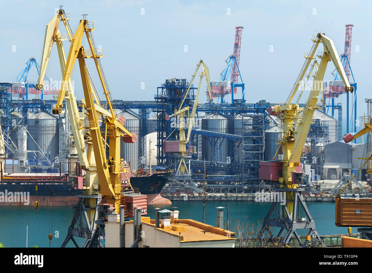 Industrial port, infrastructure of seaport, cranes and dry cargo ships ...