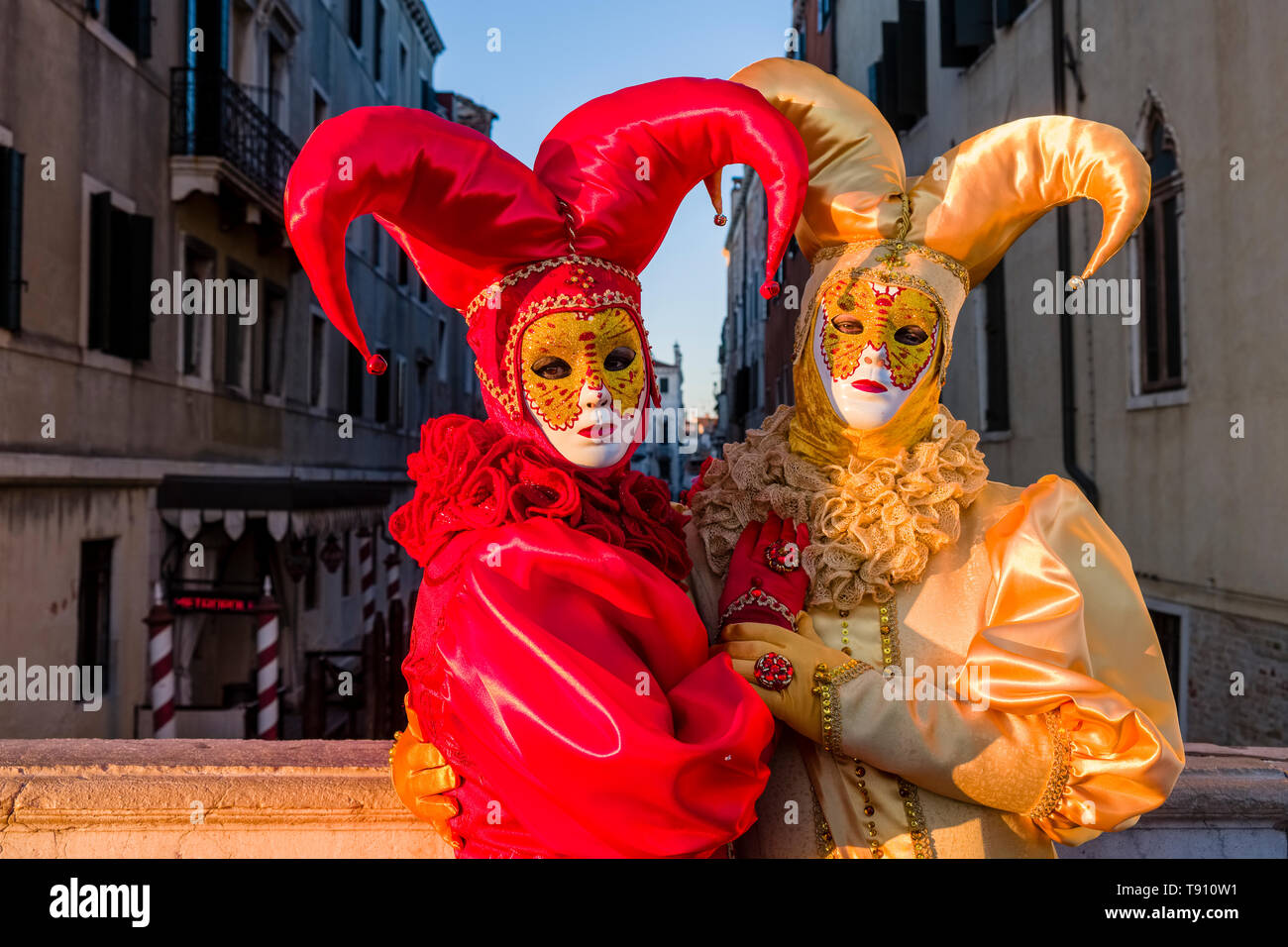 Portraits of two masked people in beautiful harlequin costumes ...