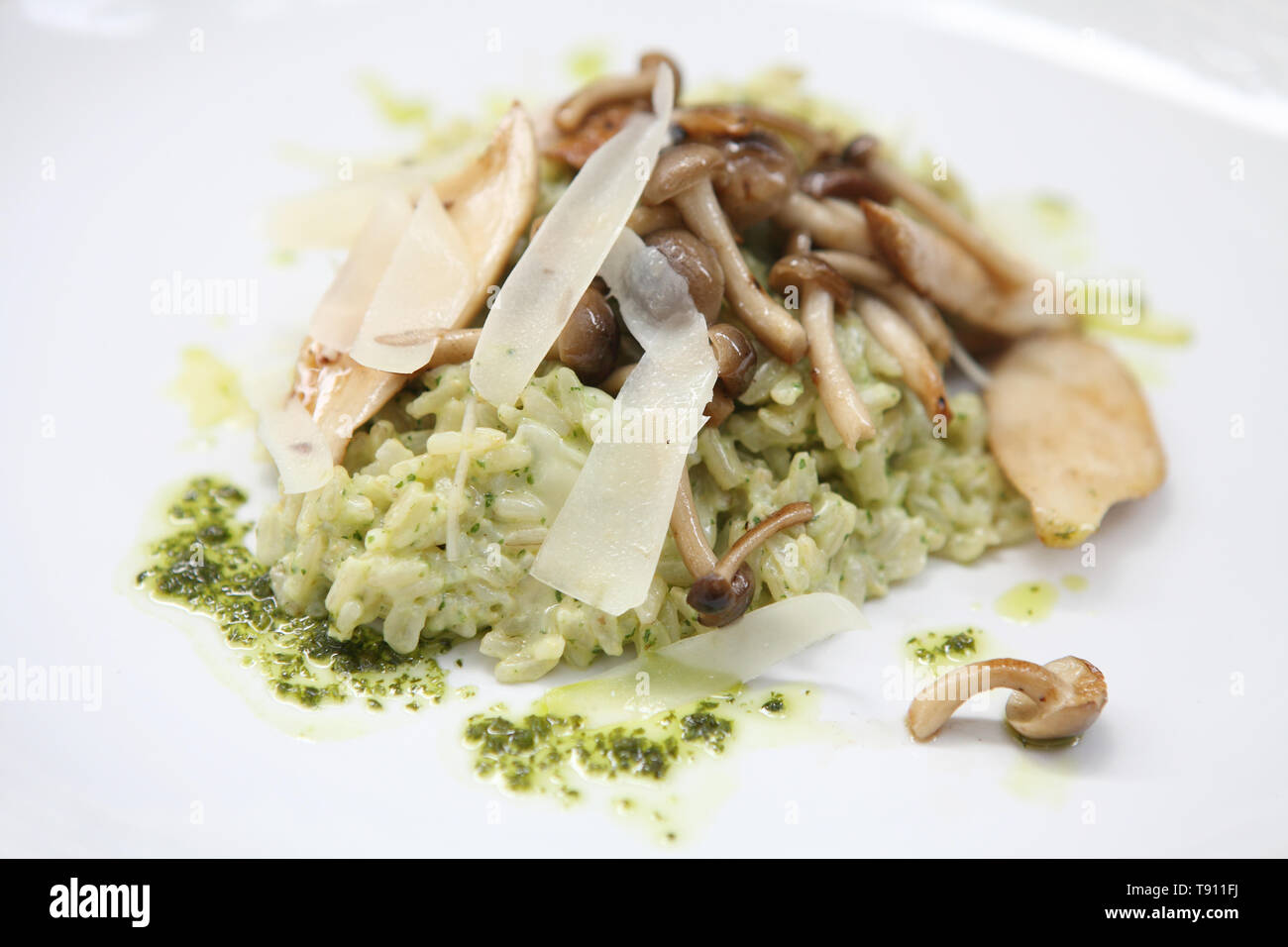 Italian mushroom arborio rice risotto hi-res stock photography and ...