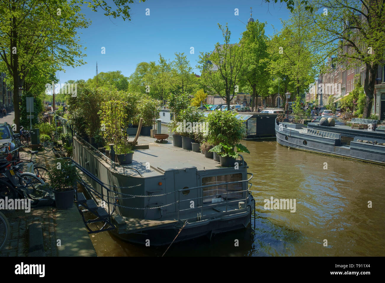Greenery on an Amsterdam canal. Potted plants make a roof terrace on a ...