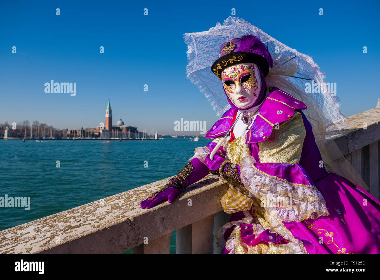 Portrait of a feminin masked person in a beautiful creative costume ...