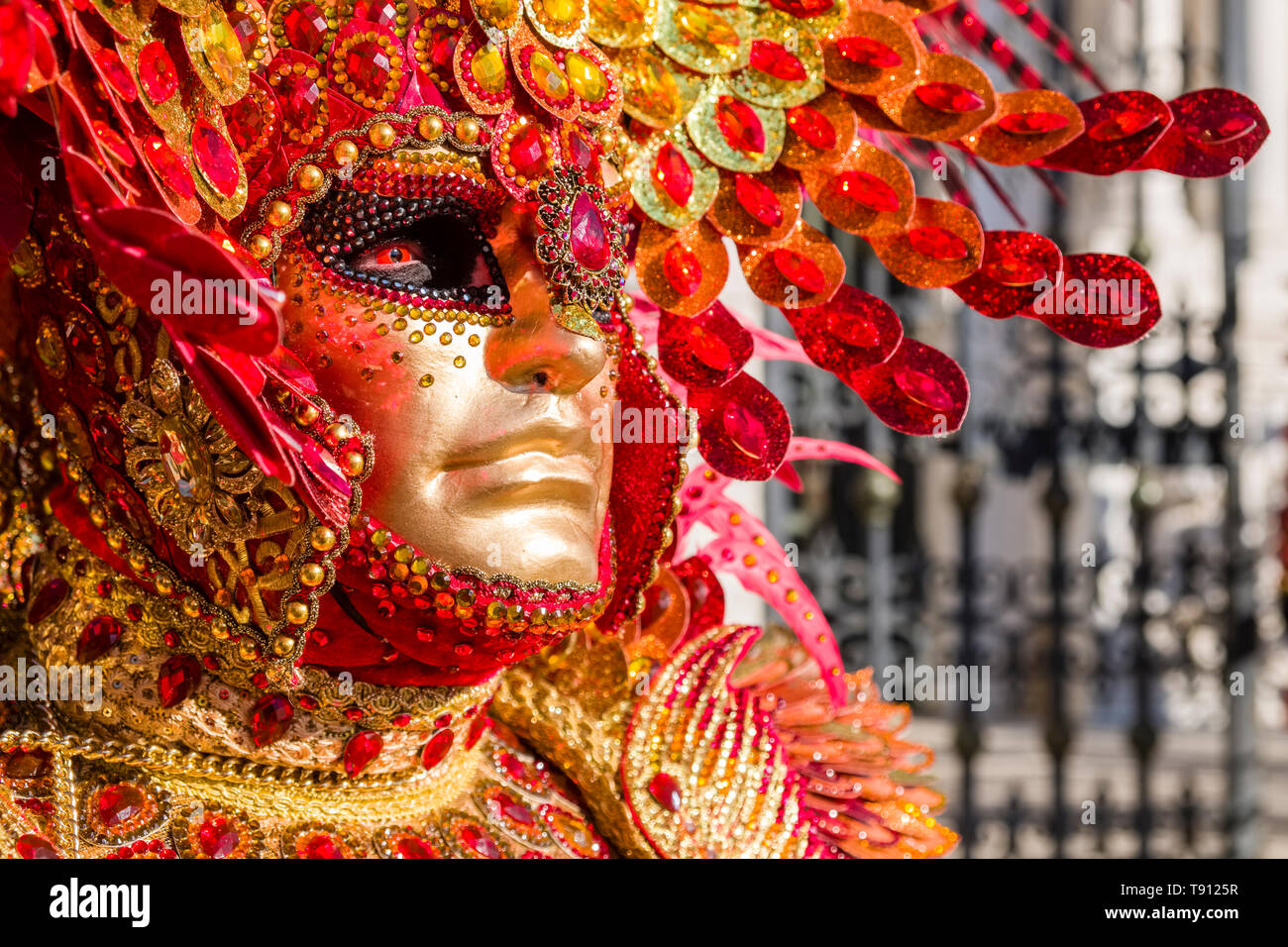 Portrait of a masculin masked person in a beautiful creative costume ...