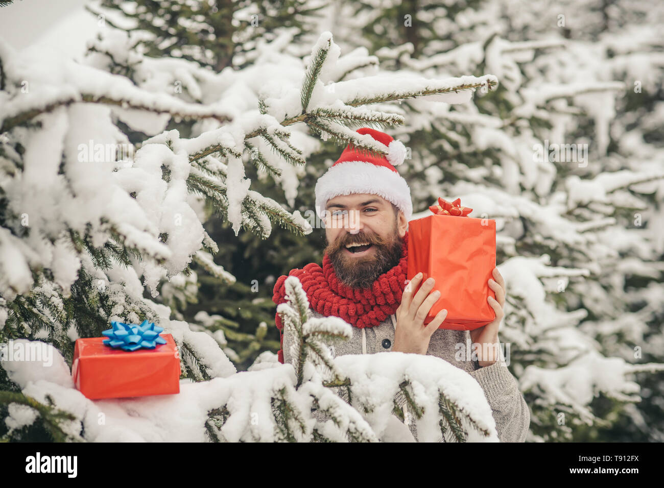 Boxing day party hi-res stock photography and images - Alamy