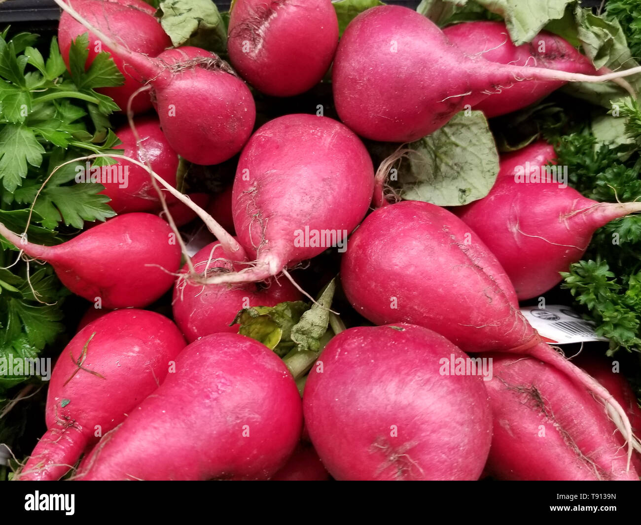 Nutrition radishes hi-res stock photography and images - Alamy
