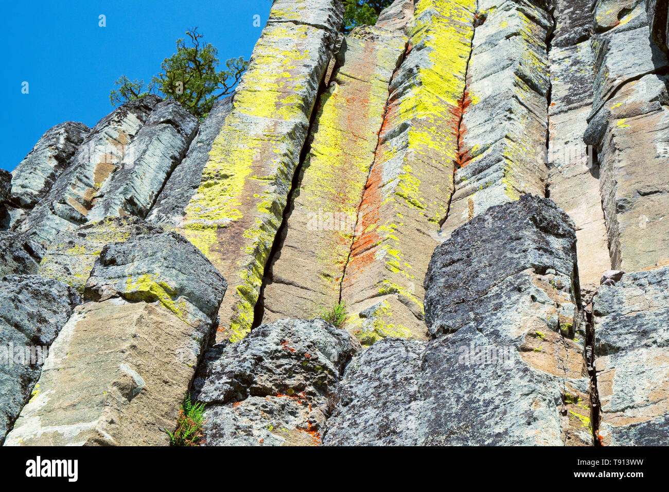 Basalt columns at Keremeos Columns provincial park in Keremeos, British ...