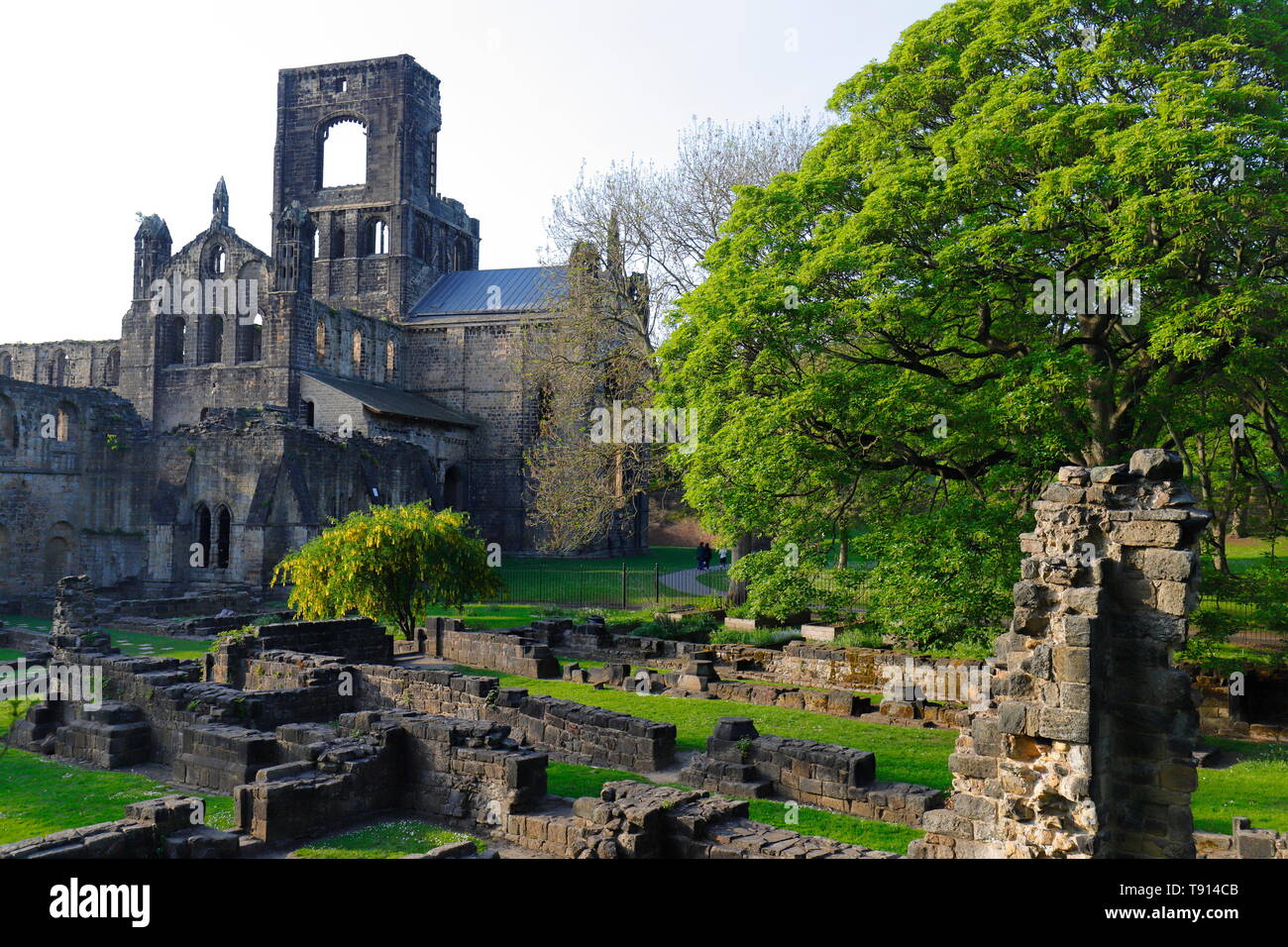 Kirkstall Abbey in Leeds,West Yorkshire,UK Stock Photo - Alamy