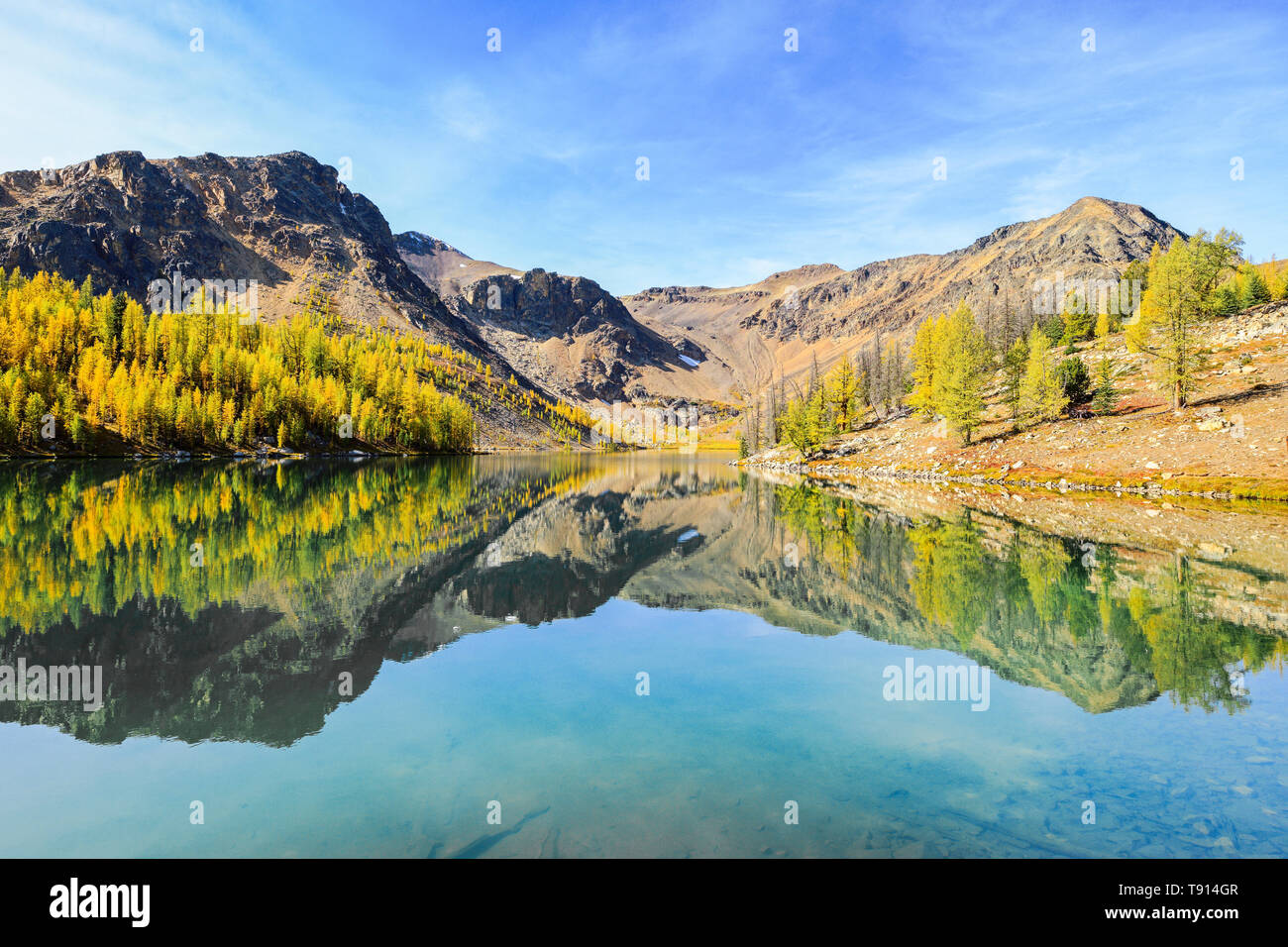 Mountains and larch trees reflecting on Ladyslipper Lake at Cathedral ...