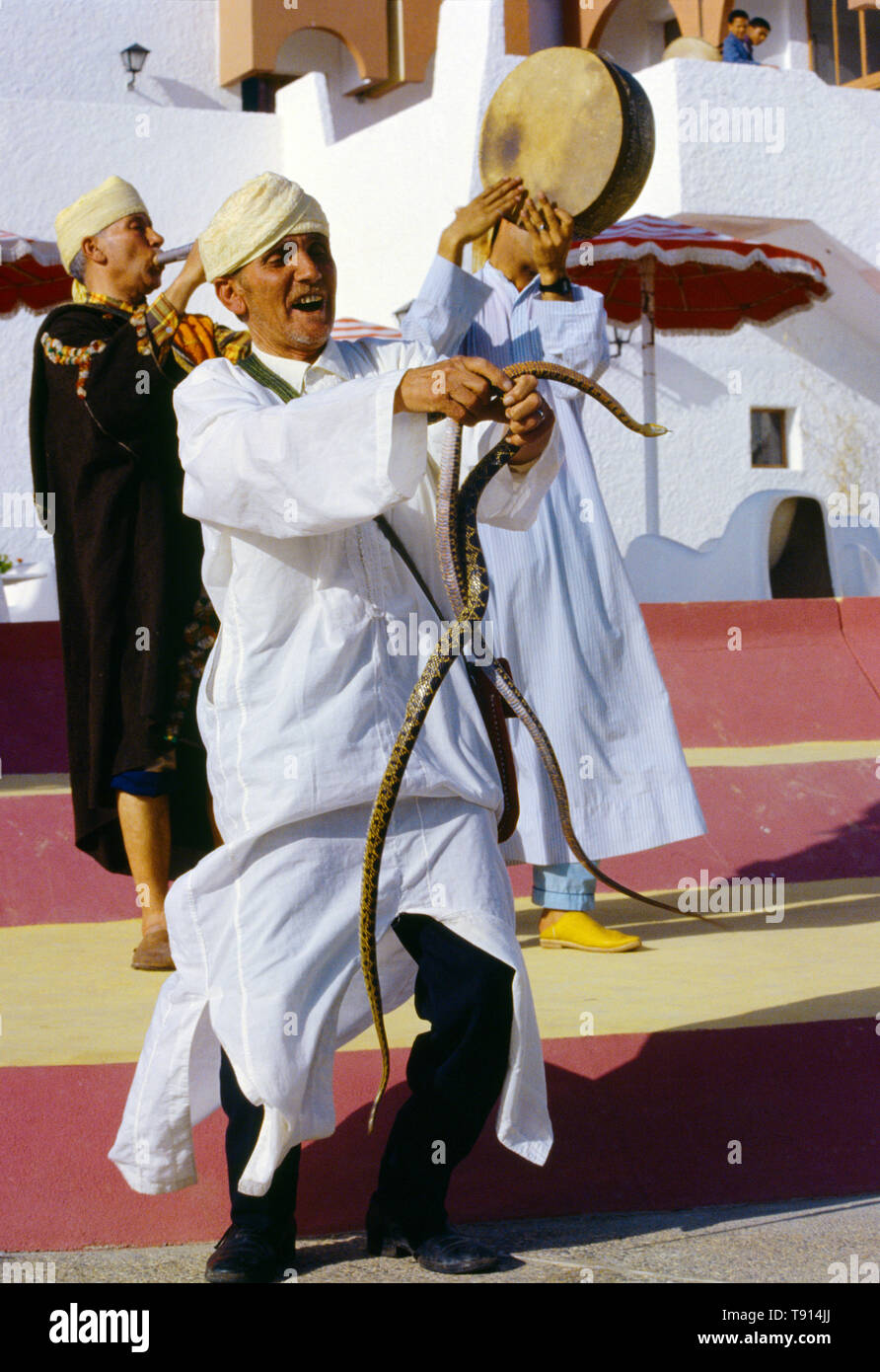 Arabian Sands Morocco Man Dancing Holding Snake Musicians Stock Photo ...