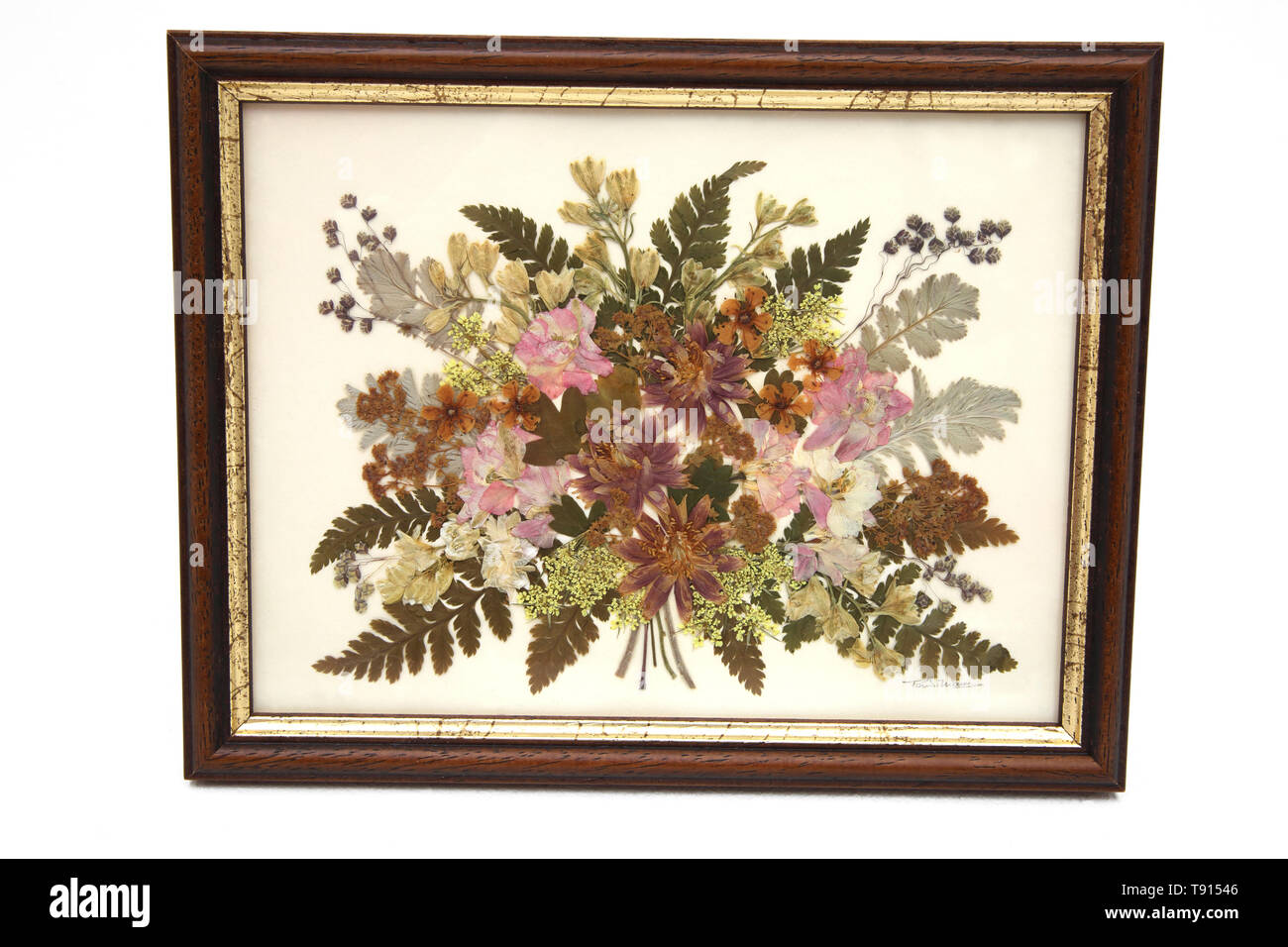 Dry flowers in frame hi-res stock photography and images - Alamy