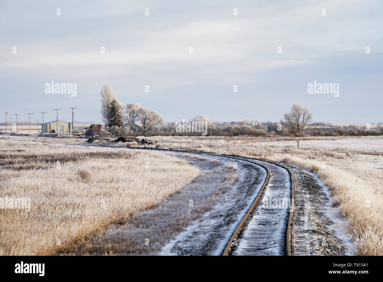 Train in canadian prairies hi-res stock photography and images - Alamy