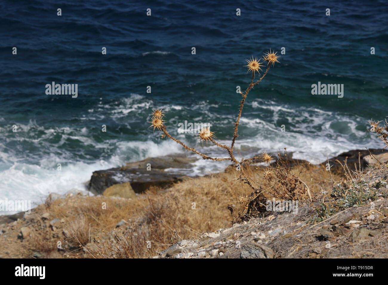Kea Island Port High Resolution Stock Photography and Images - Alamy