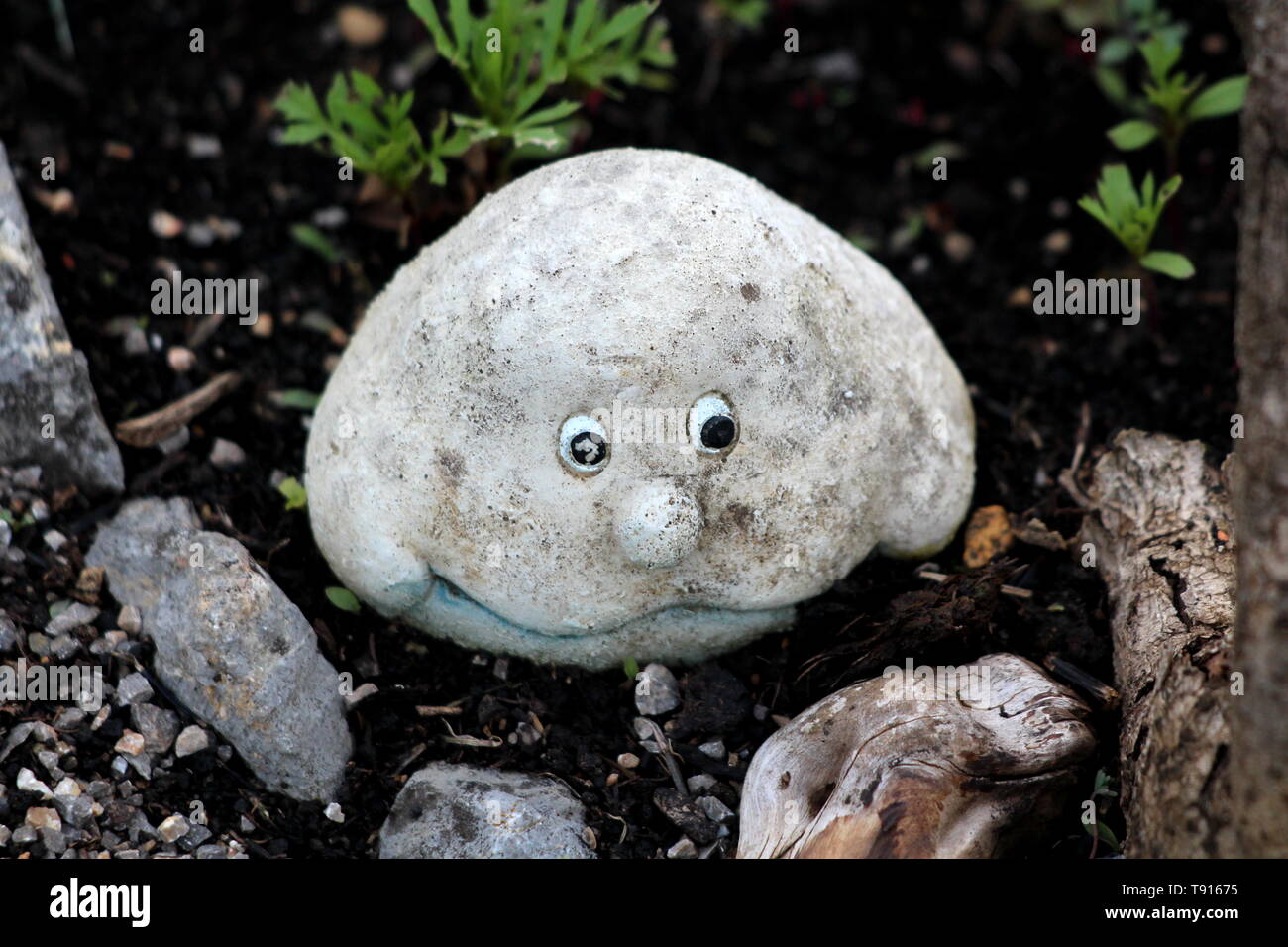 Decorative stone shaped like human face with cute eyes nose and smiling ...