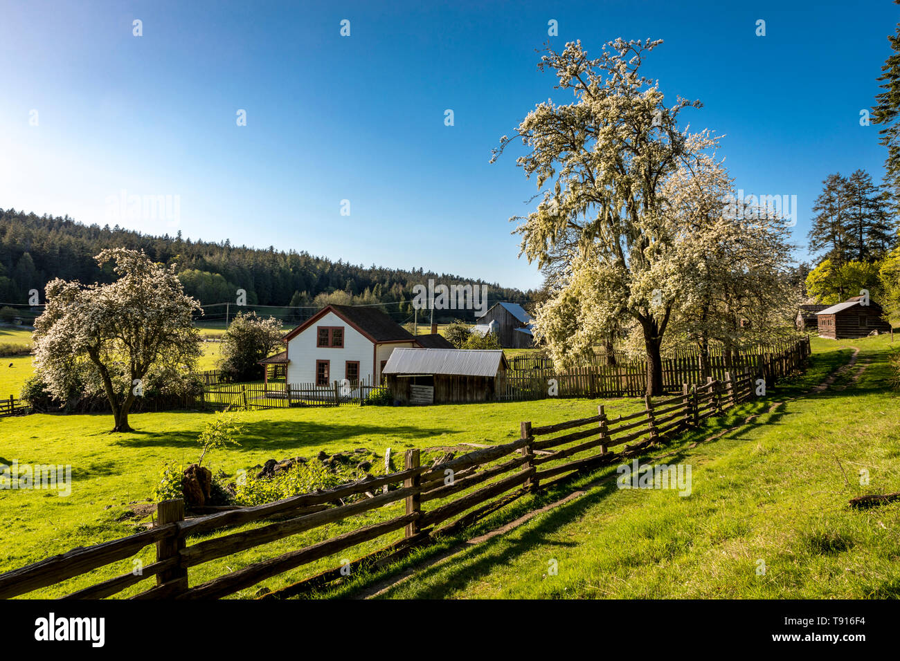 Original farm buildings built by Henry Ruckle in the early 1900's on ...