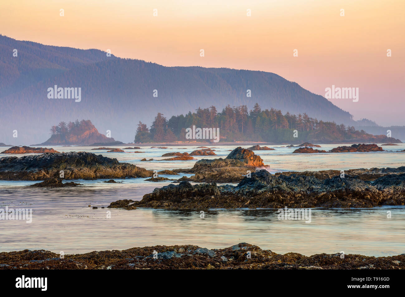 Nootka Island High Resolution Stock Photography and Images - Alamy