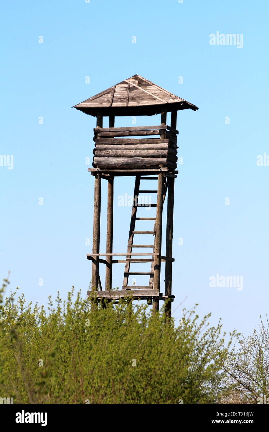 Tall improvised dilapidated vintage wooden hunting observation tower ...