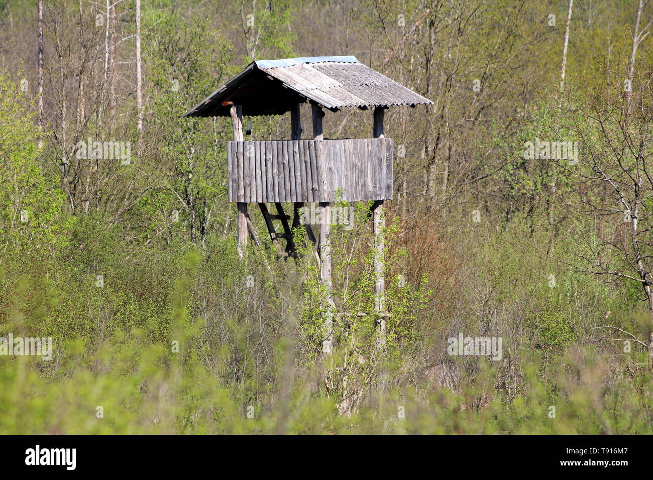 Vintage tall wooden hunting observation tower with improvised ladders ...
