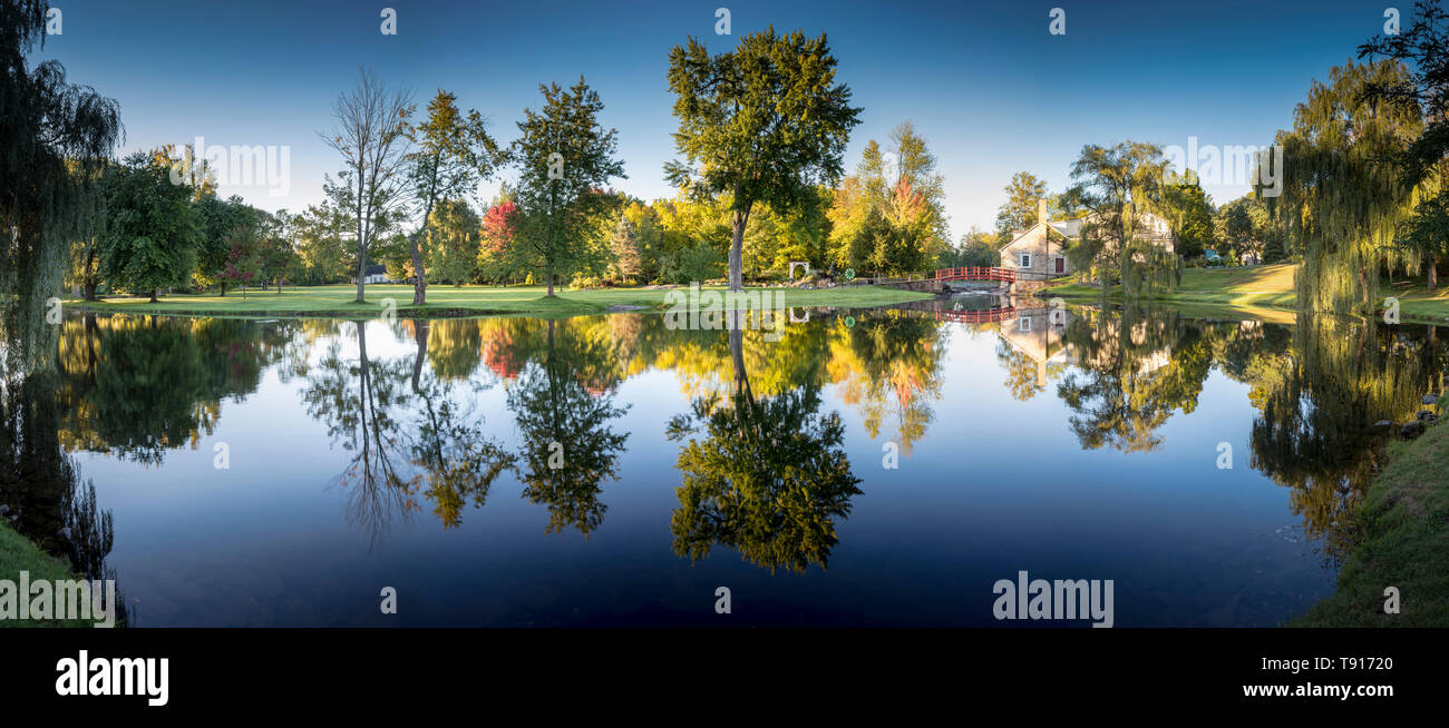 Selective Colour Selective Color High Resolution Stock Photography and ...