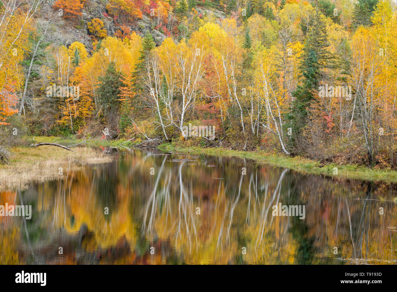 Iron bridge ontario hi-res stock photography and images - Alamy