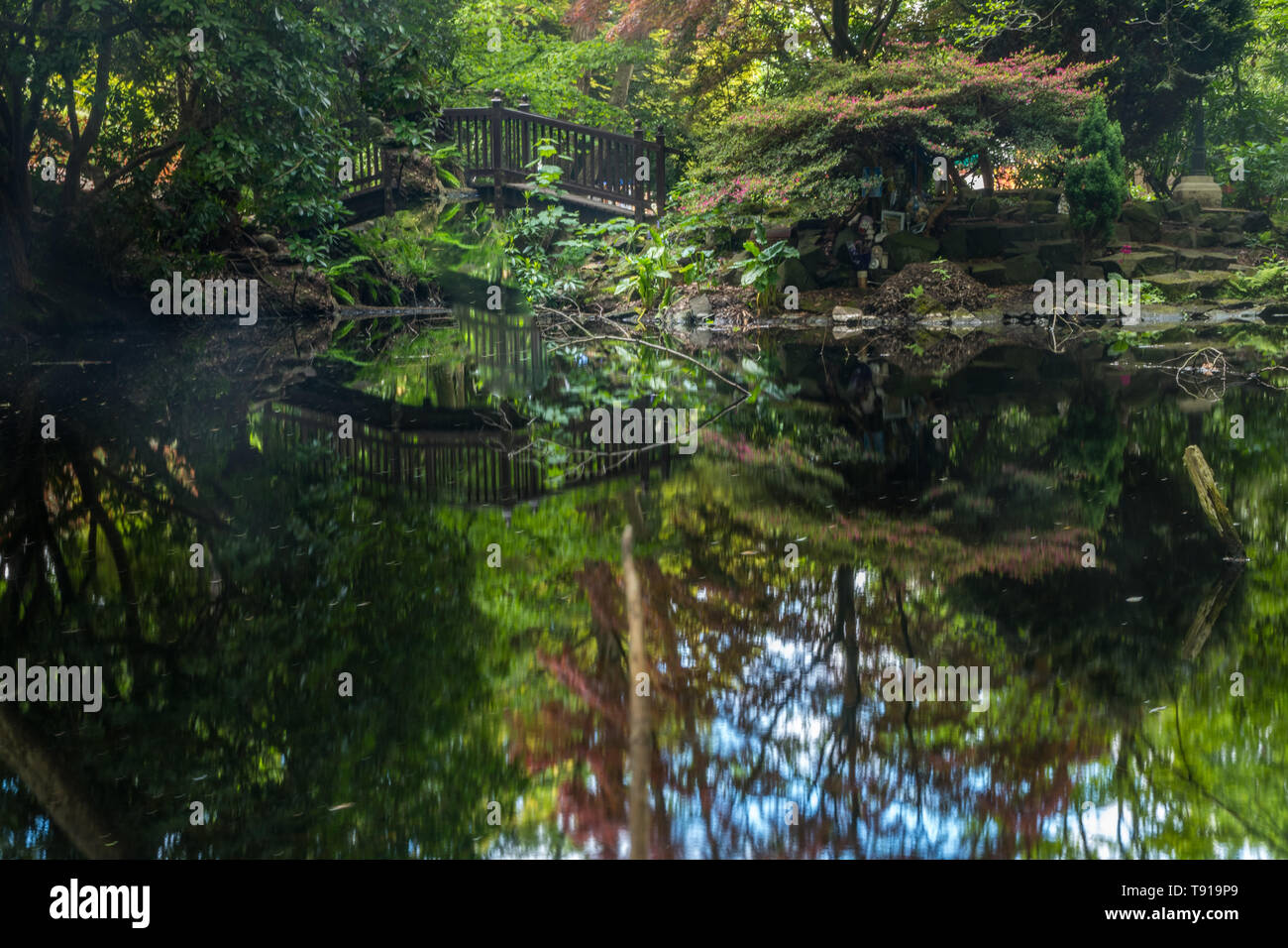 arched wooden bridge over ornamental garden pond, beautiful Stock Photo ...