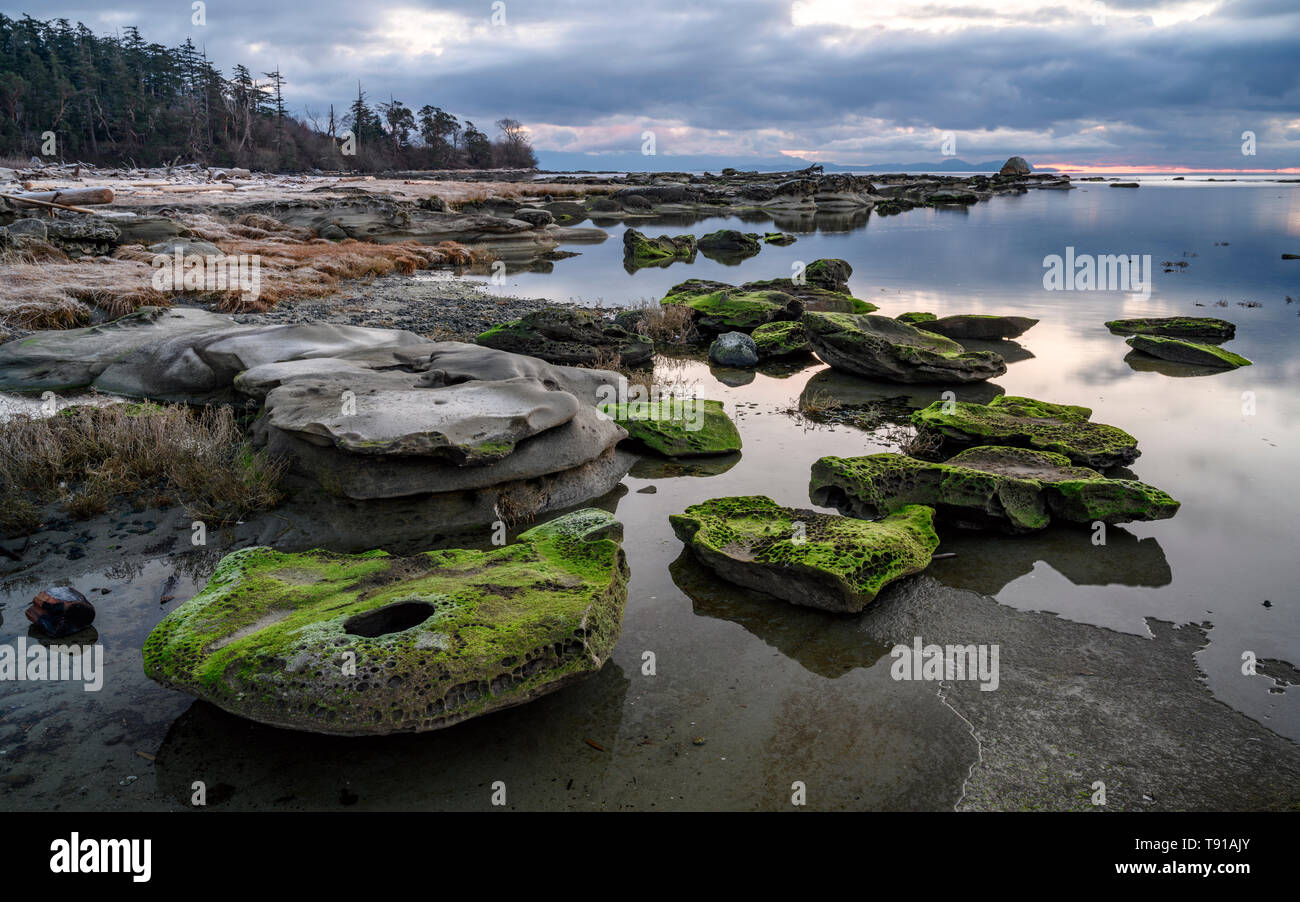 Vancouver island rocks hi-res stock photography and images - Alamy