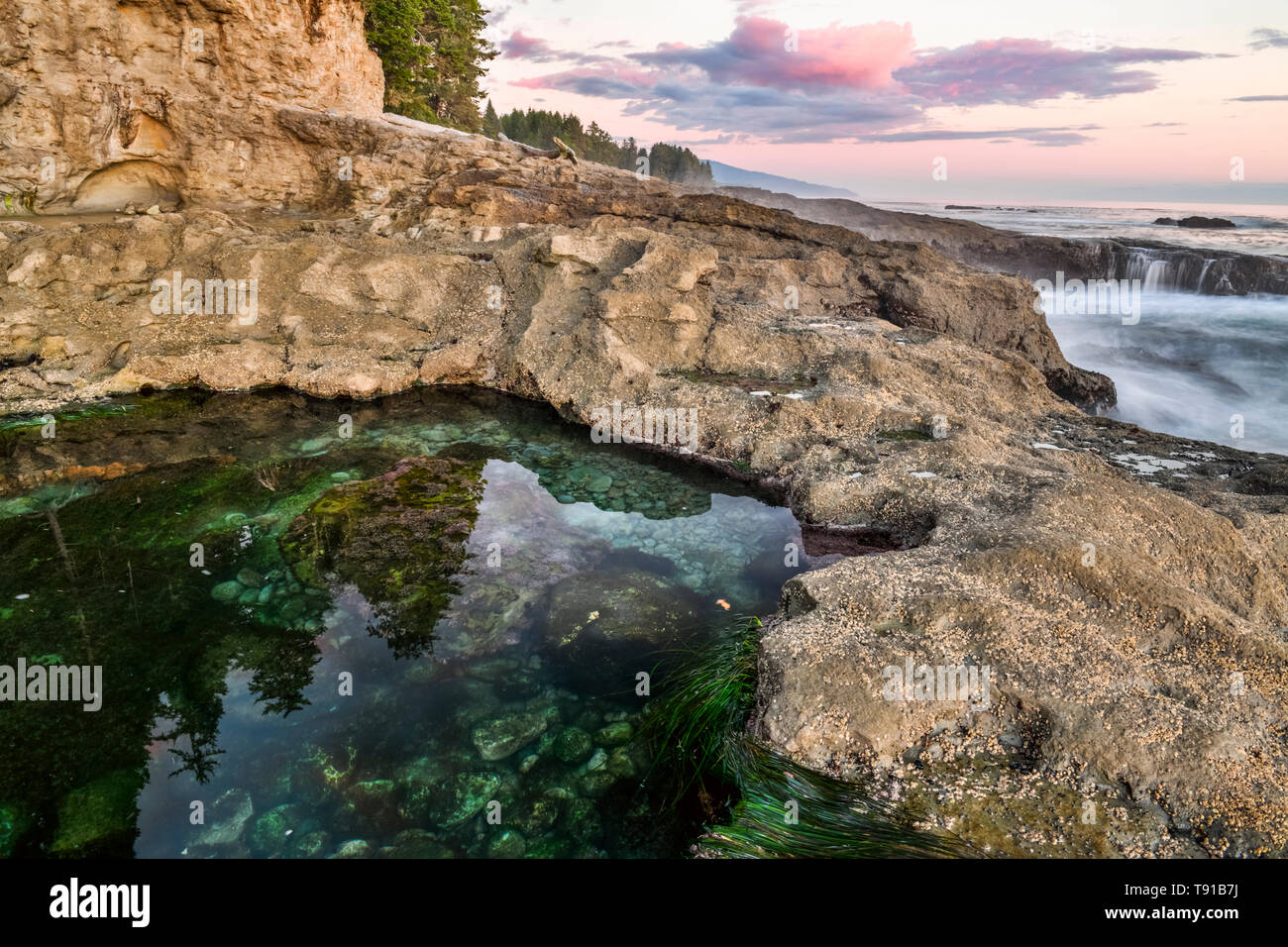 Botanical Beach, Juan de Fuca Trail, Port Renfrew, Vancouver Island, BC ...