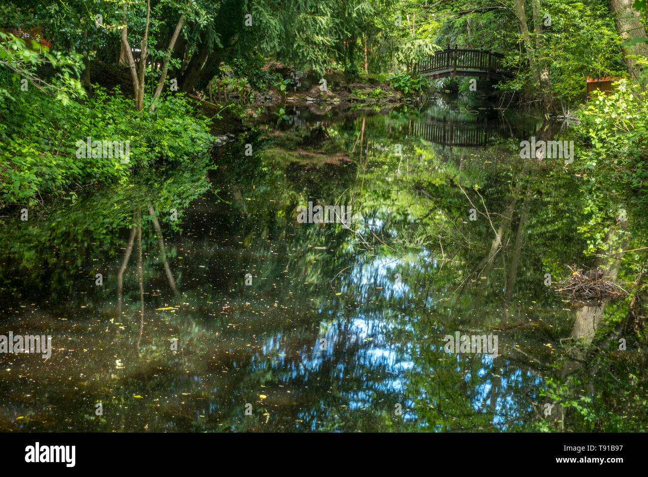 arched wooden bridge over ornamental garden pond, beautiful Stock Photo ...