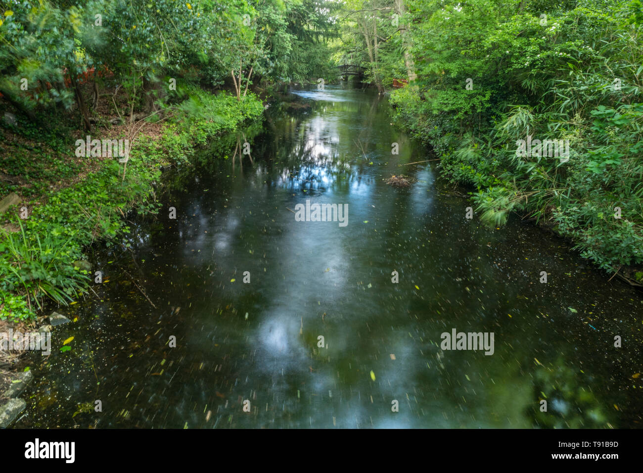 Beautiful and shady natural ponds, natural concept Stock Photo - Alamy