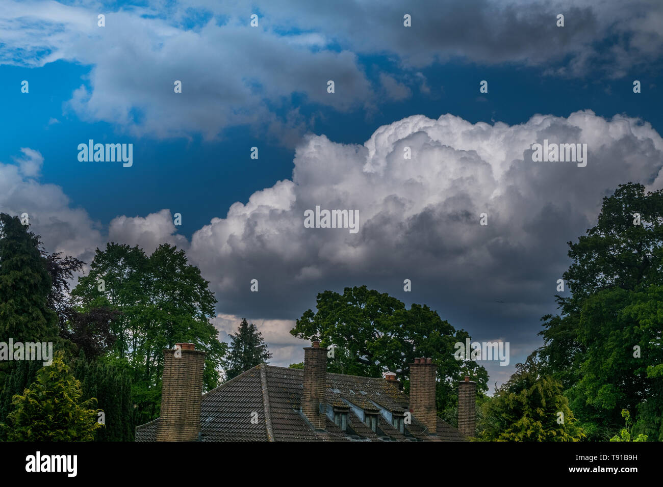 The roof of the house and the tree with the backdrop of a beautiful ...