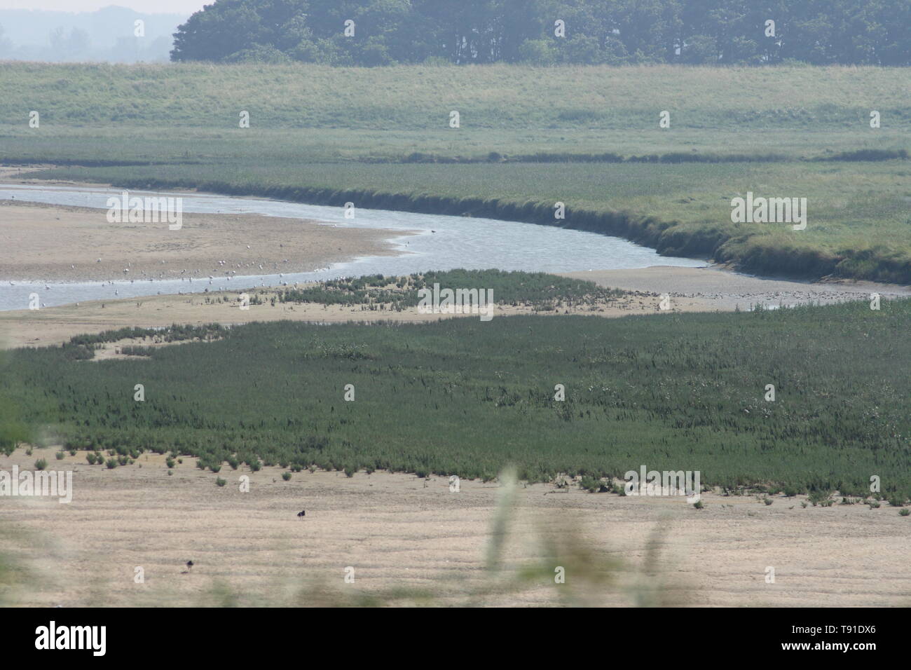 Het zwin hi-res stock photography and images - Alamy