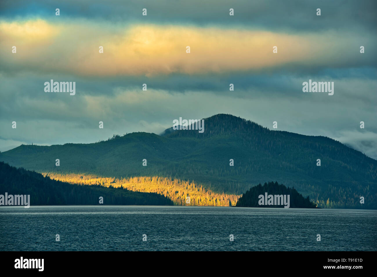 Haida gwaii british columbia hi-res stock photography and images - Alamy