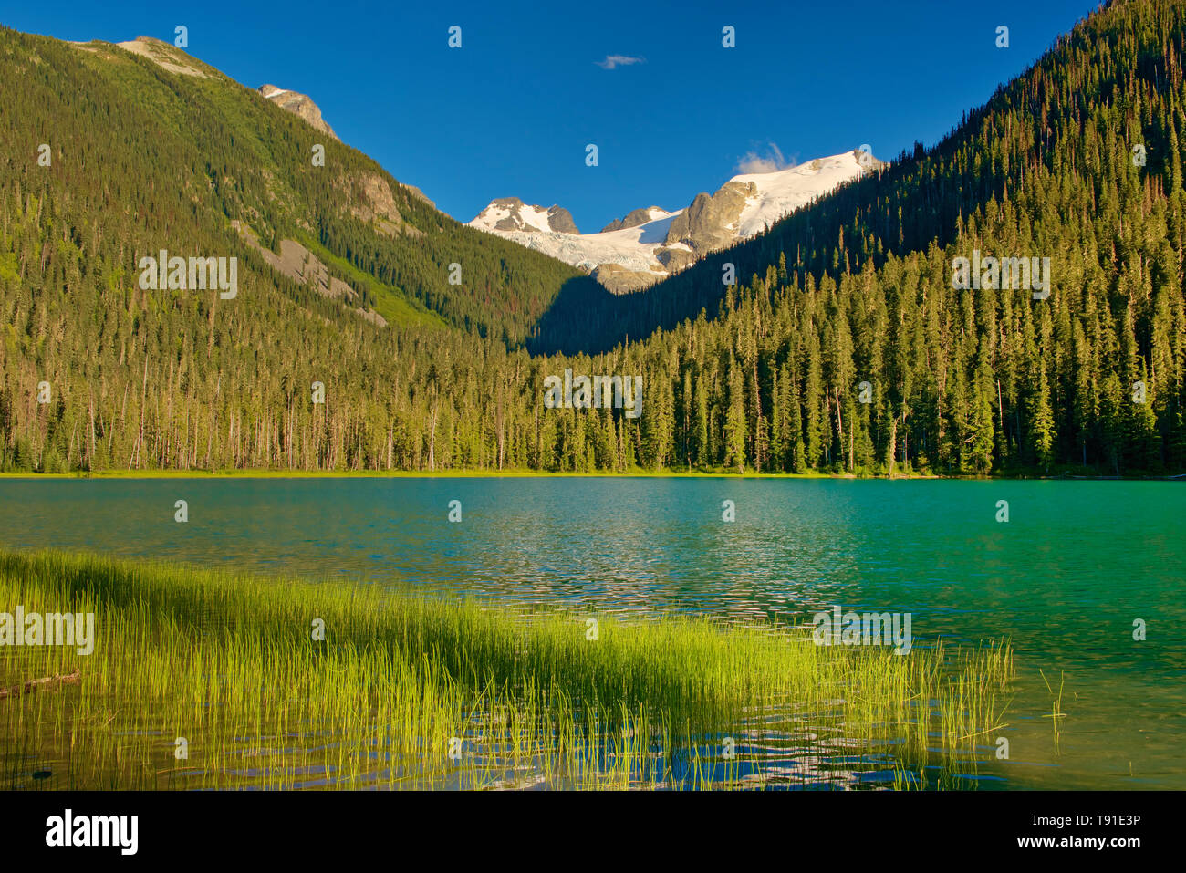 Joffre provincial park hi-res stock photography and images - Alamy